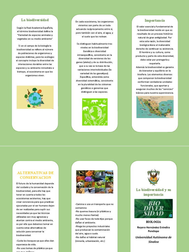 Triptico de La Biodiversidad | PDF
