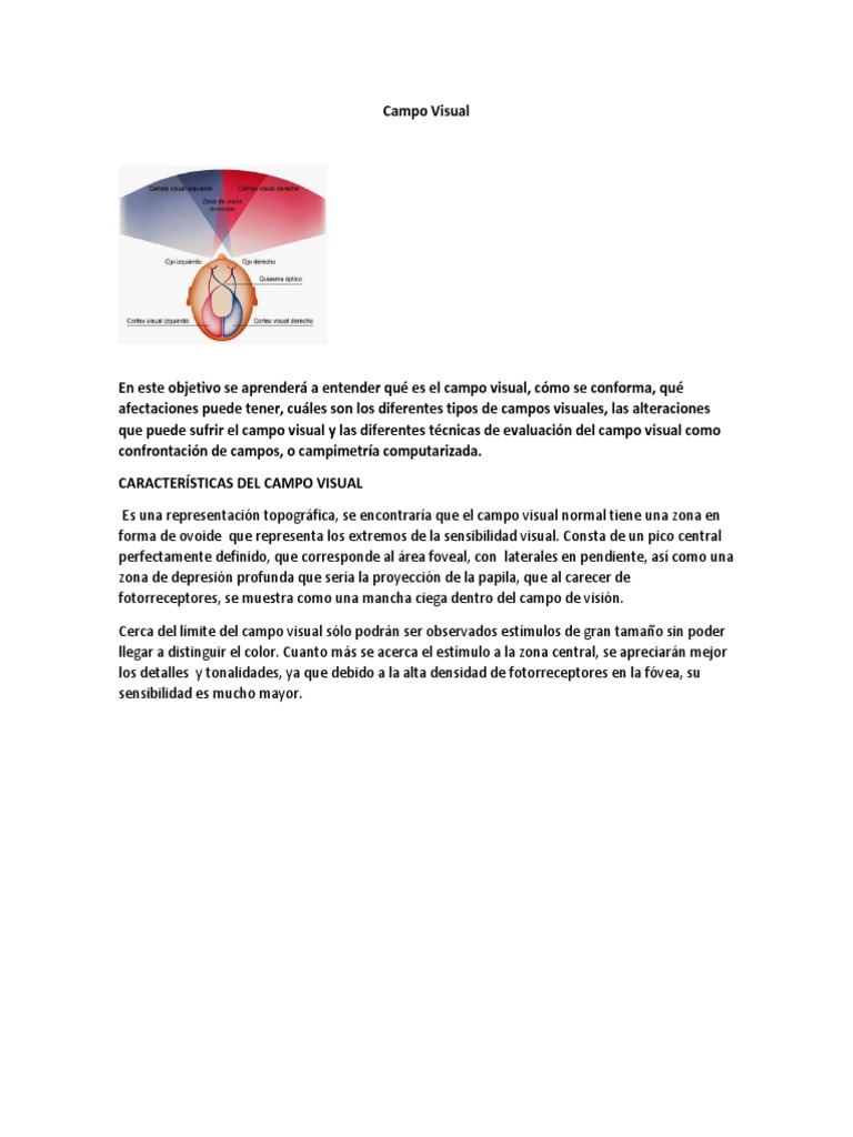 Campo Visual Complemento | PDF | Percepción visual | Ojo humano