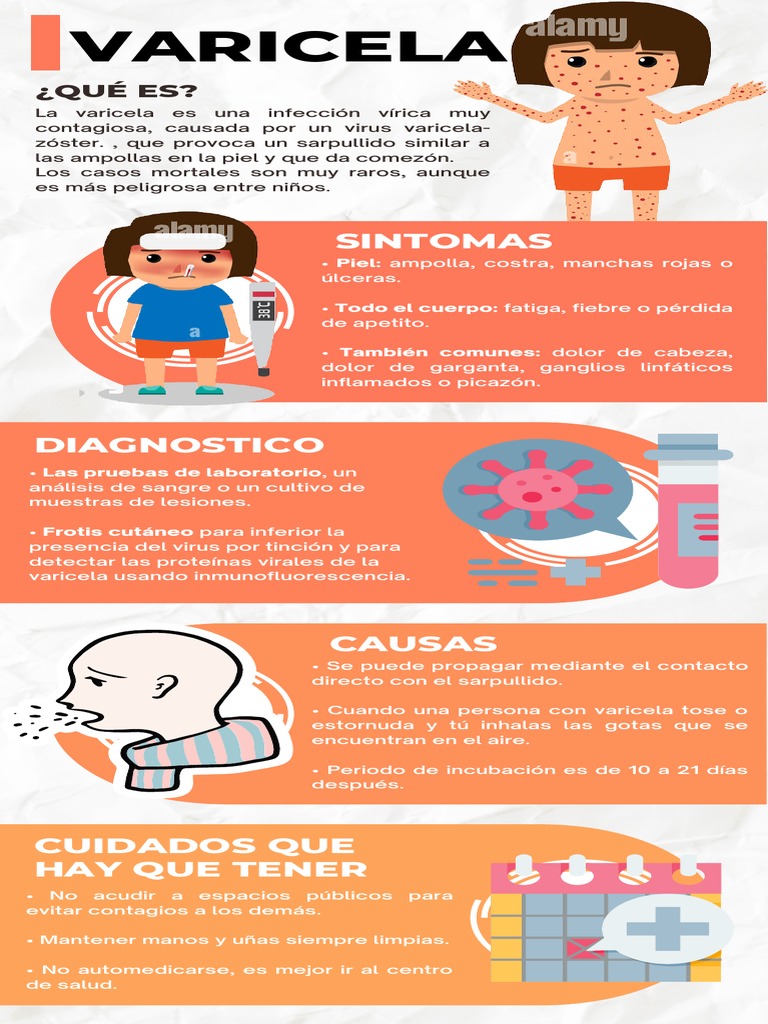 Infografia Varicela | PDF