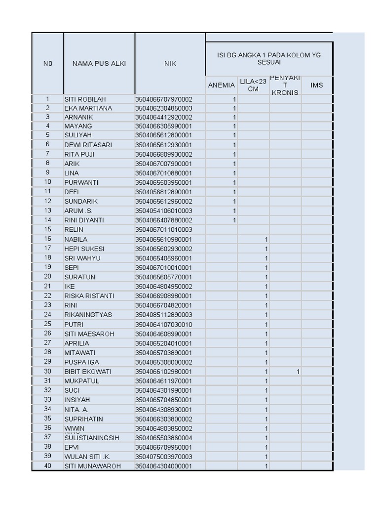 FILE Format Pus Alki | PDF
