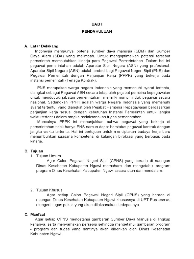 Laporan Dinkes | PDF