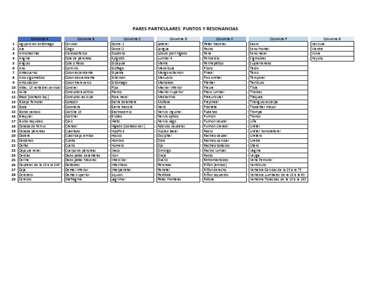 PP. Pares Particulares (Perro y Gato) | PDF | La columna vertebral | Sistema digestivo humano