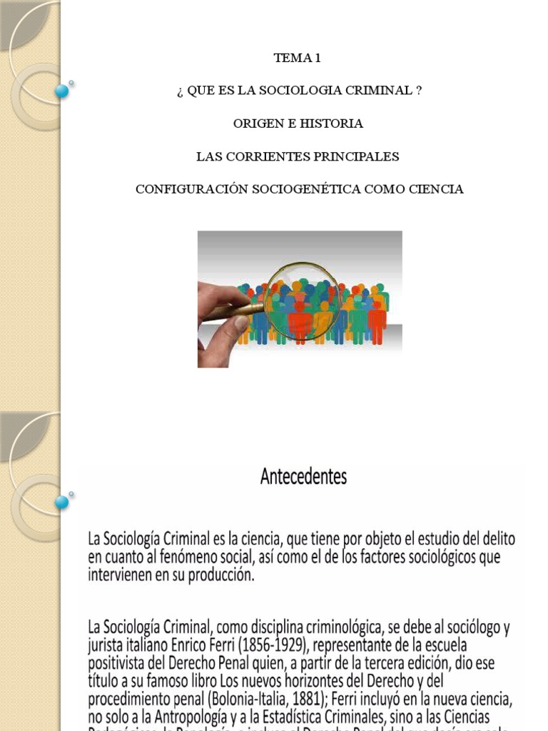 Sociologia Criminal | PDF | Derecho penal | Criminología