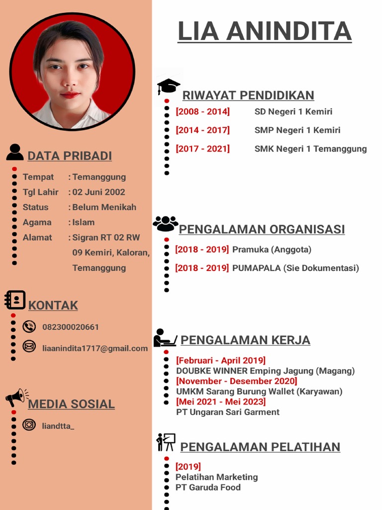 CV lamaran kerja | PDF