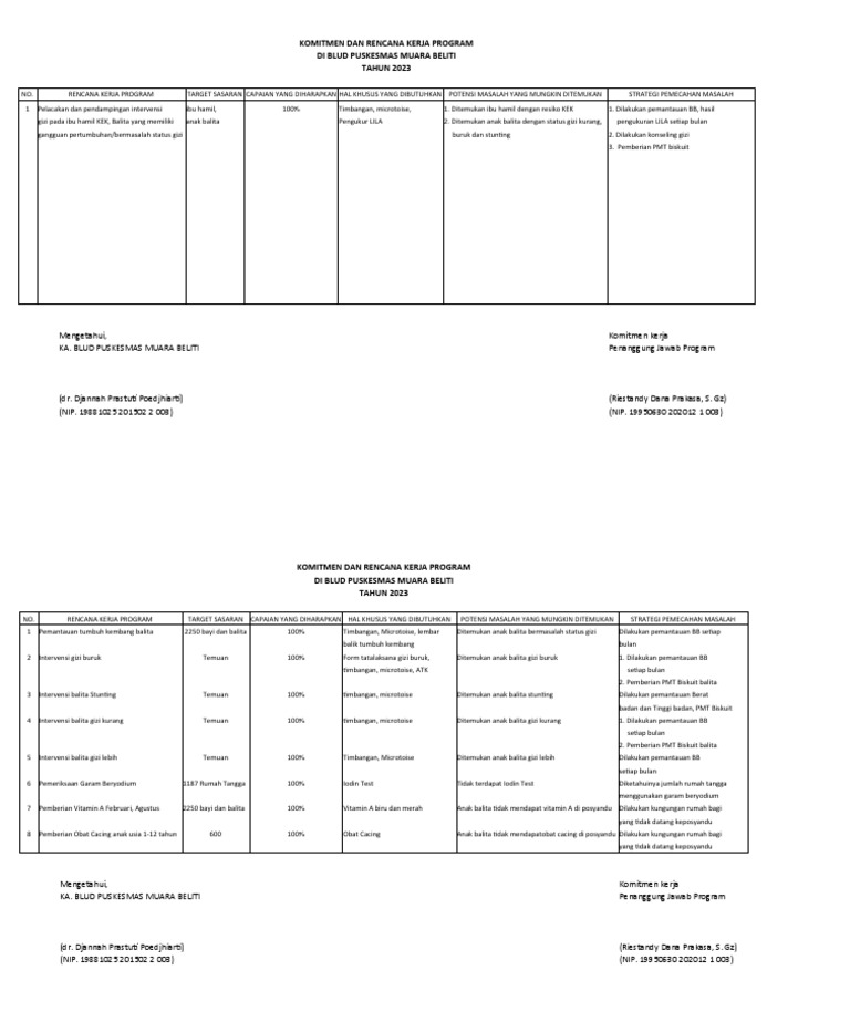 Rencana Kerja Program Gizi | PDF