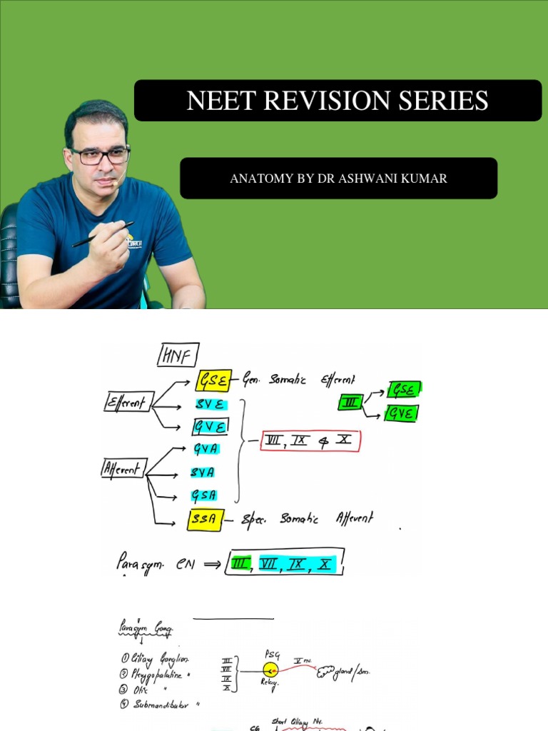 NEET Anatomy Revision Guide | PDF
