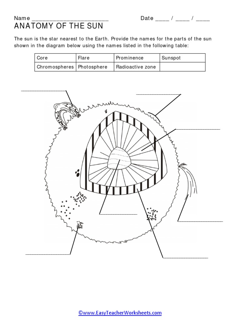 Anatomy of The Sun: Name - Date | PDF