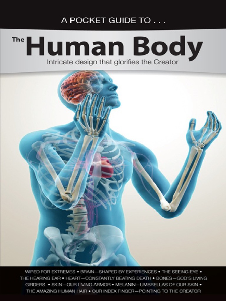 Ken Ham - Pocket Book - Human Body | PDF | Heart | Eye