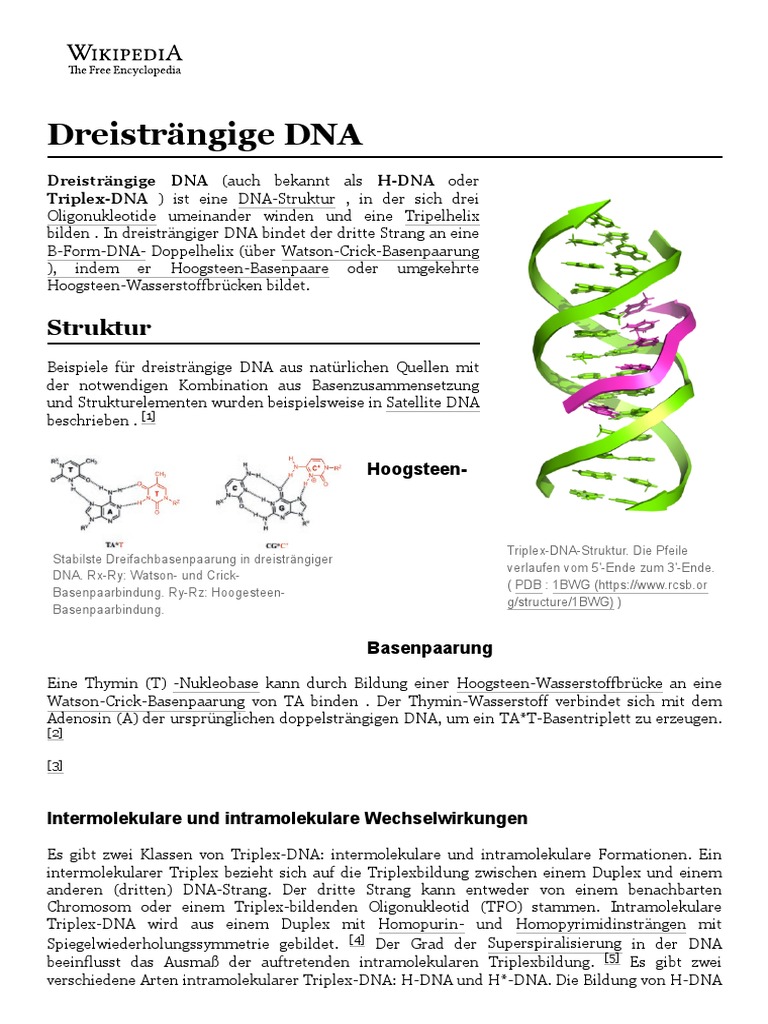 Dreisträngige DNA - Triple-Helix-DNA (WP, 17 S) | PDF