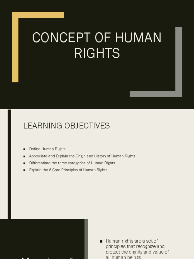 Understanding Human Rights Principles | PDF | Human Rights | Ethical ...