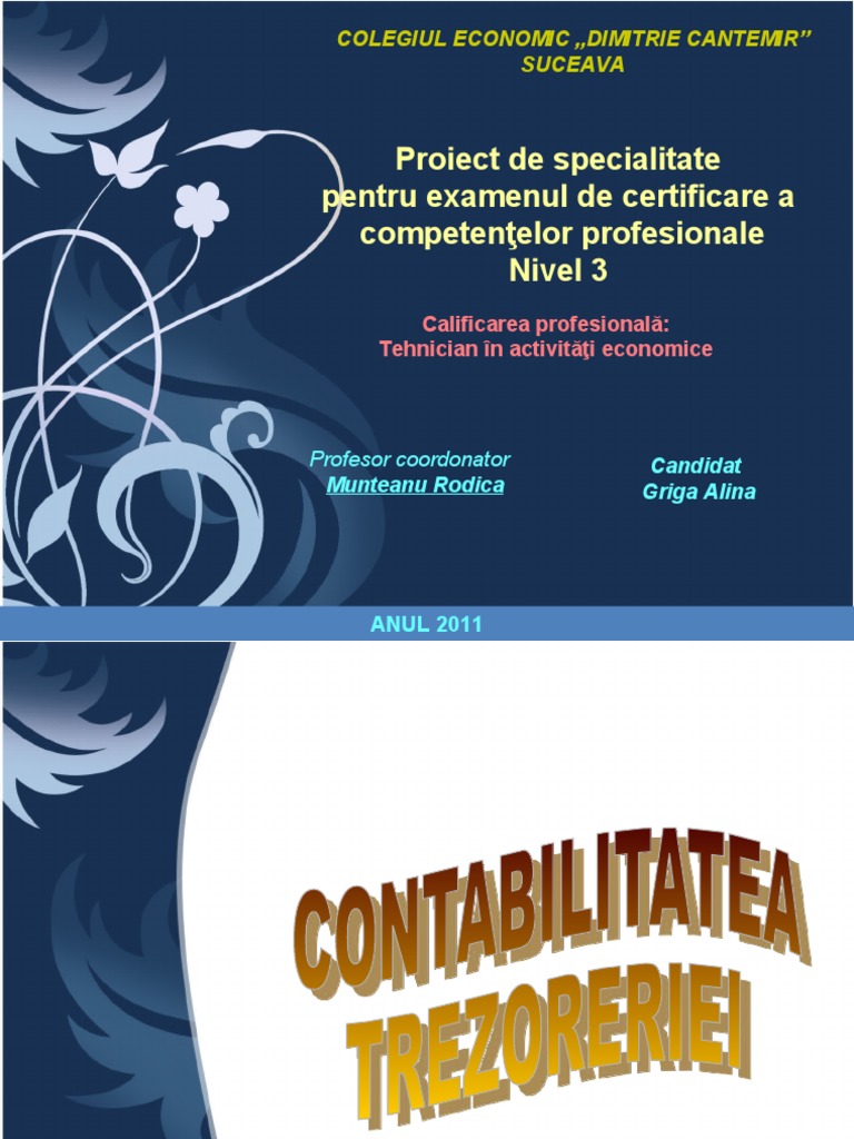 Contabilitatea Trezorerie 2 | PDF
