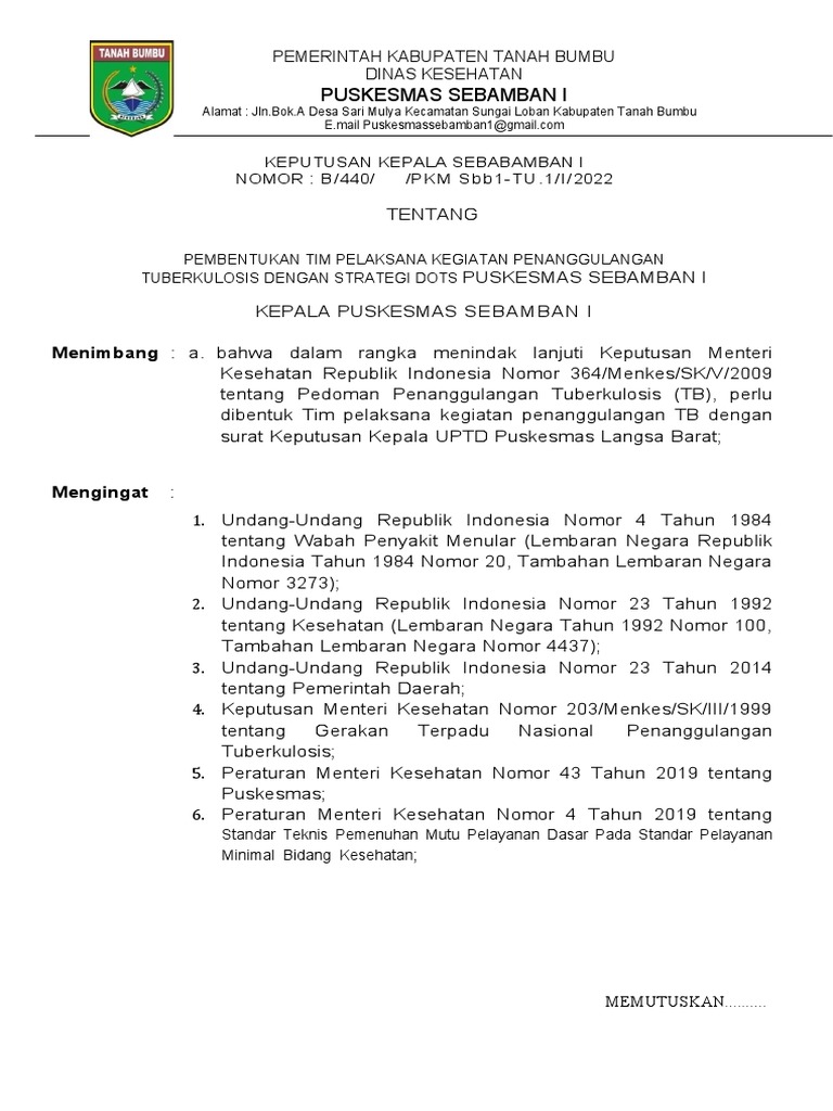 SK Pembentukan Tim TB Dots | PDF