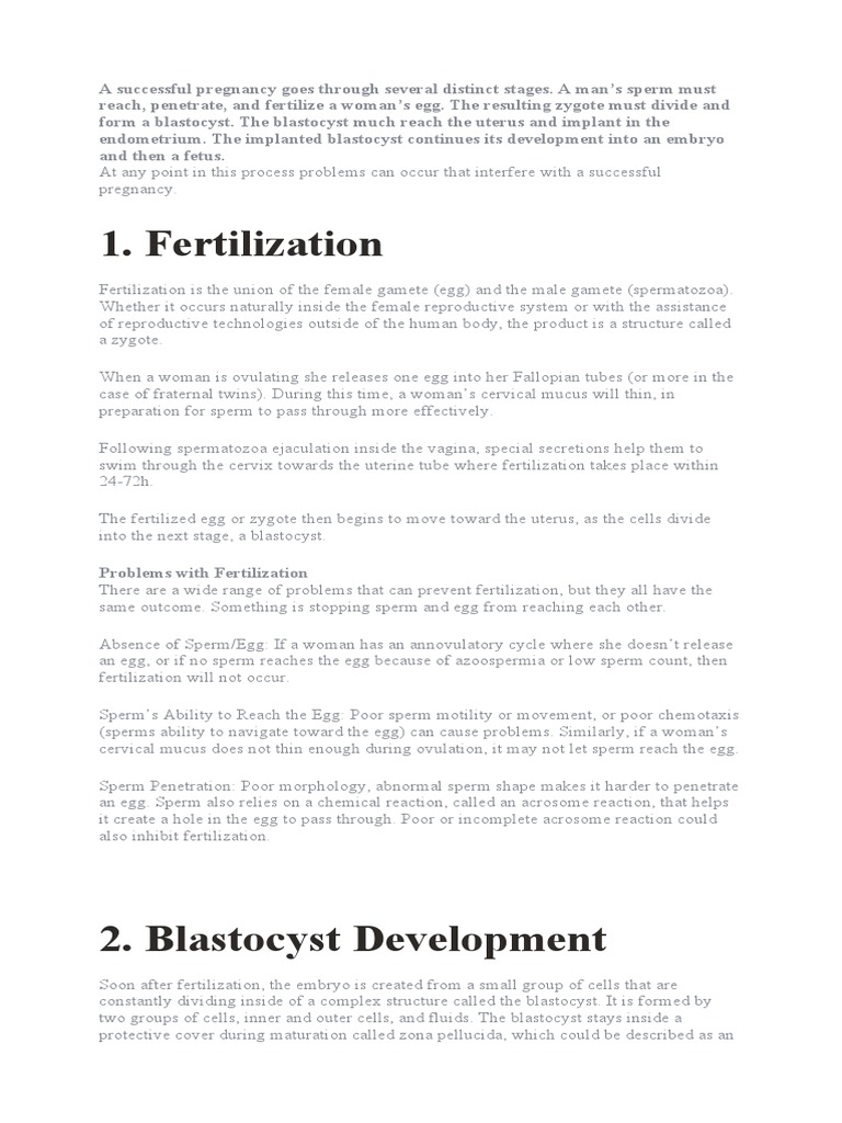 Embryonic Development | PDF