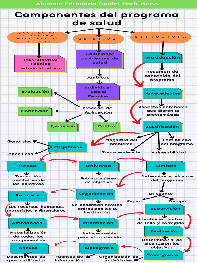 Mapa Conceptual de Componentes de Programa de Salud | PDF