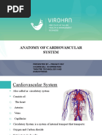 Human Heart Anatomy Overview | PDF | Heart | Heart Valve