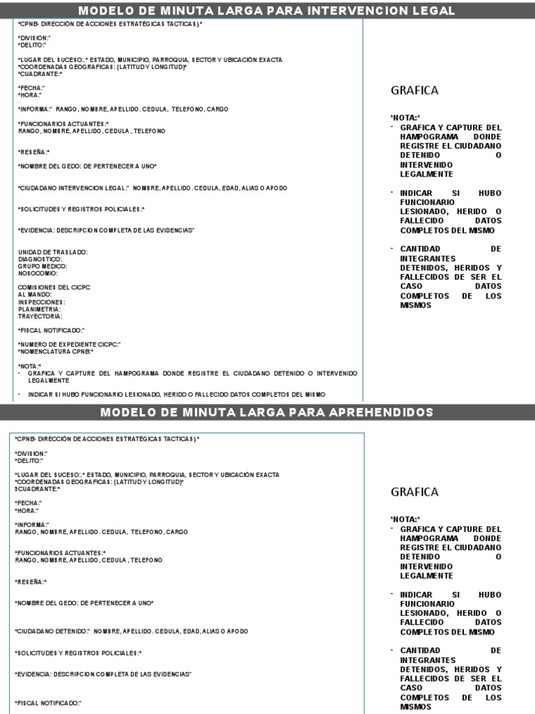 Modelo de Minuta | PDF