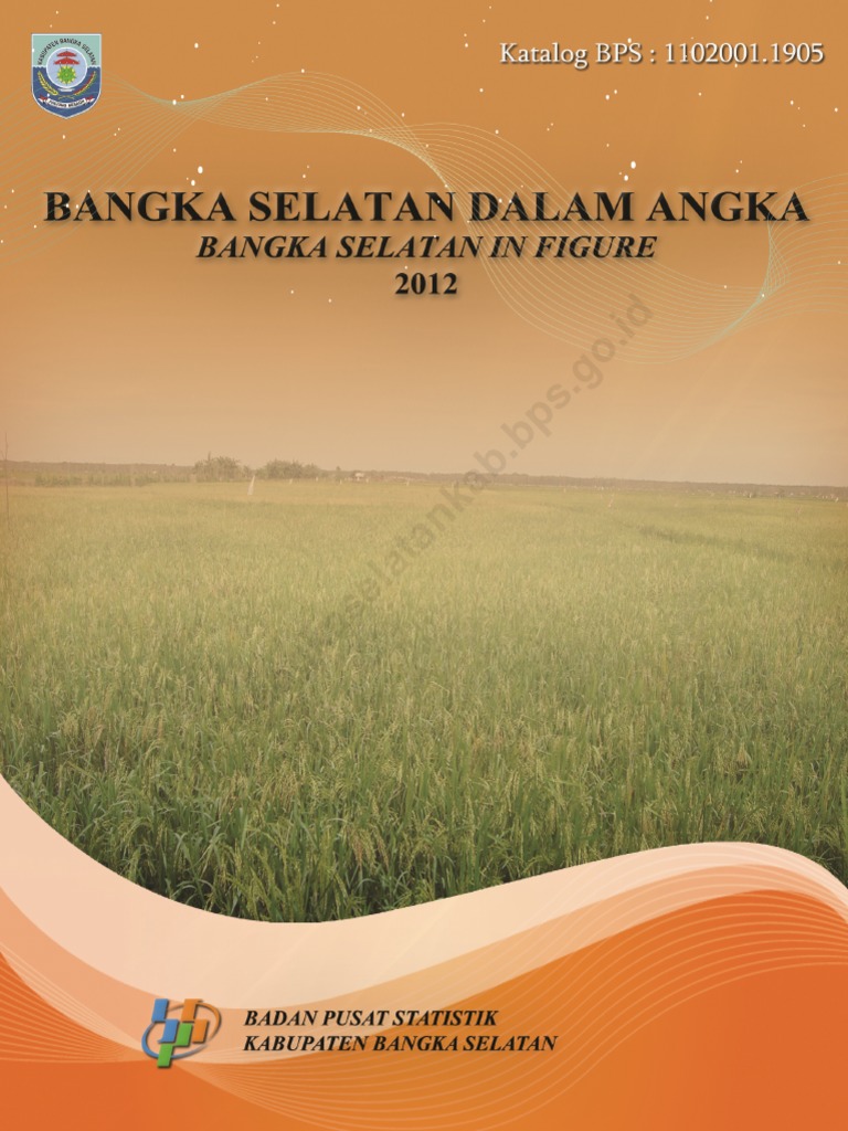 Bangka Selatan Dalam Angka 2012 | PDF