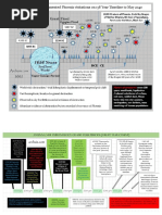 Centuries and Their Corresponding Years | PDF