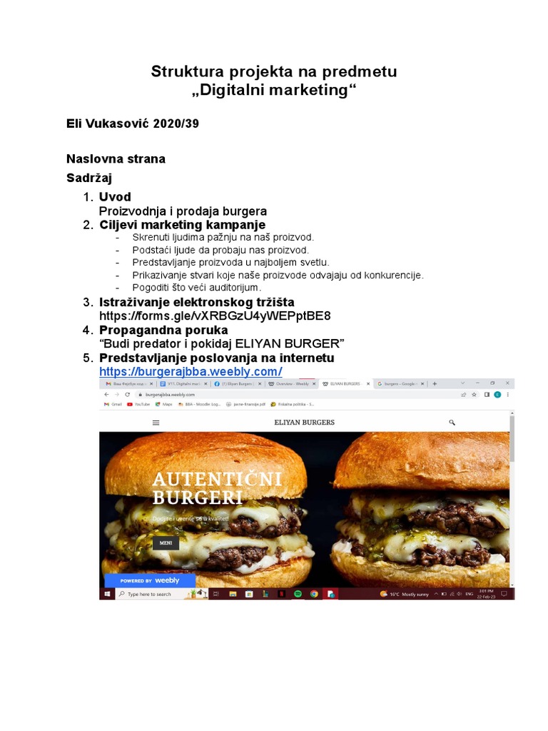 Digitalni Marketing - Projekat | PDF