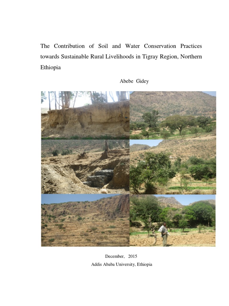 Abebe Gidey | PDF