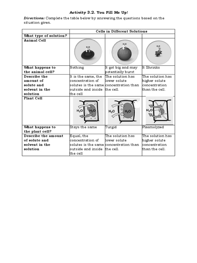 Week 4 | PDF | Self-Improvement