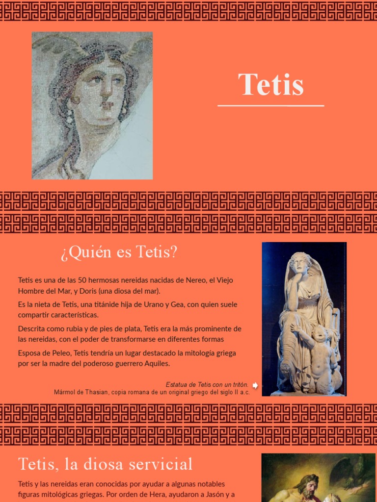 TETIS | PDF