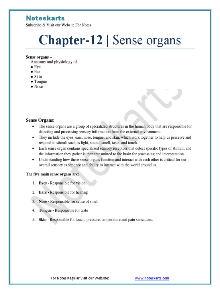 Chapter 12 The Sense Organs Anatomy and Physiology of Eye Ear Skin Tongue Nose | PDF | Ear | Senses