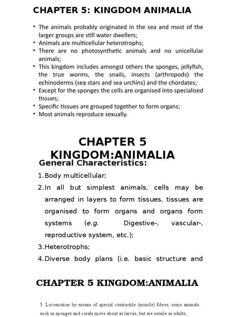 Chapter 5 Kingdom Animalia | PDF
