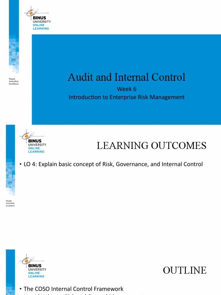 PPT 06 | PDF | Internal Control | Risk