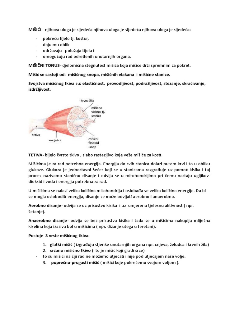 Biologija | PDF