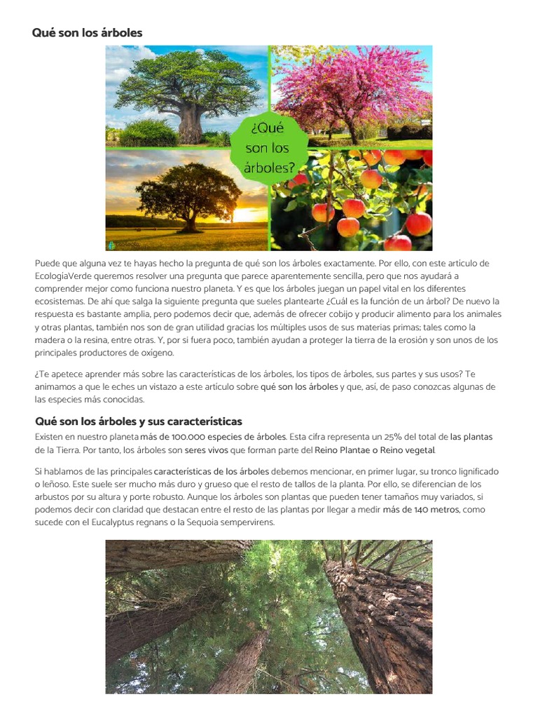Características y tipos de árboles | PDF | Arboles | Plantas
