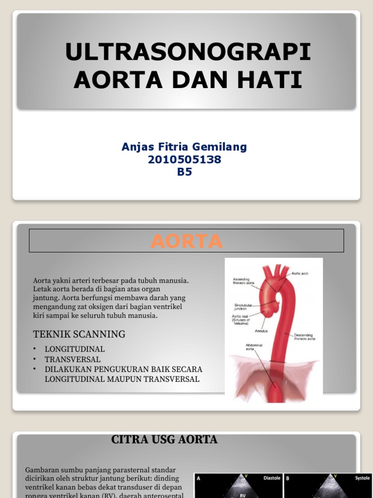 Analisis Citra USG Aorta Dan Hati_Anjas Fitria Gemilang_2010505138 | PDF