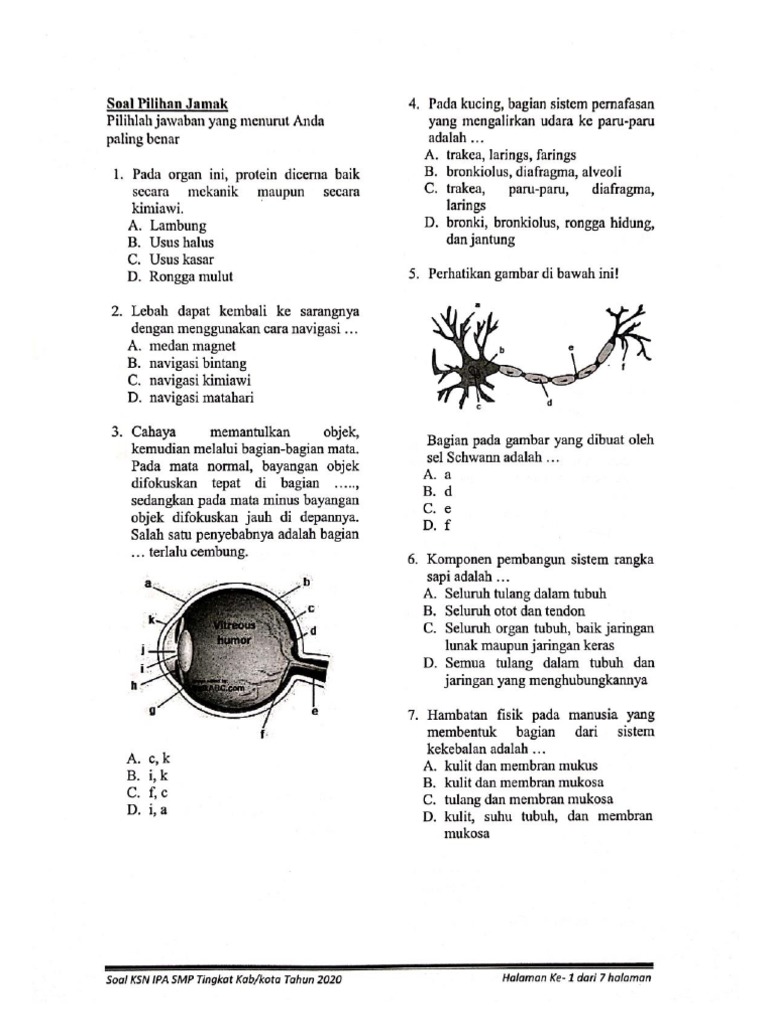 Latihan Soal Osn | PDF
