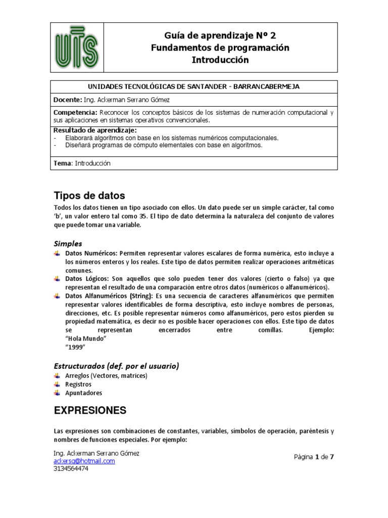 Fundamentos de Programacion - Guia 2 Introduccion | PDF | Algoritmos | Variable (informática)