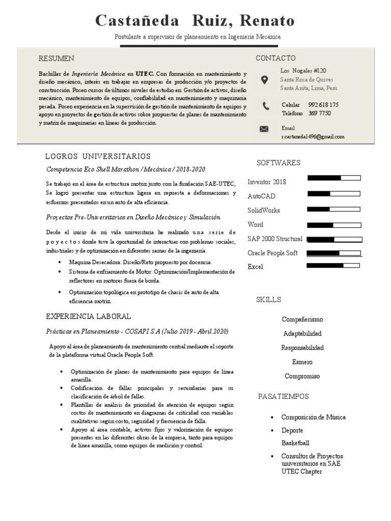 CV_RENATO CASTANEDA ACTUALIZADO | PDF