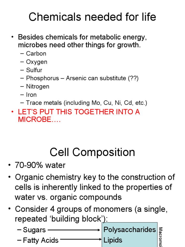 Lecture 2 - Cell Assembly | PDF | Cell Membrane | Rna