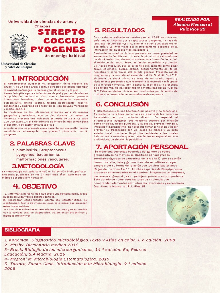 Streptococcus pyogenes CARTEL | PDF | Estreptococo | Microbiología