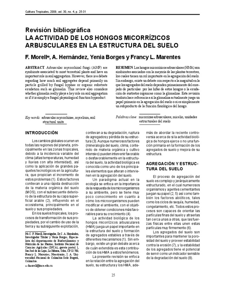 Art5 Estructura Micorrizas | PDF
