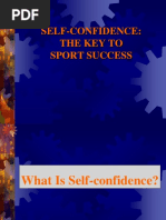 Vealey's Sports Confidence Model Explained | PDF | Metaphysics Of Mind ...