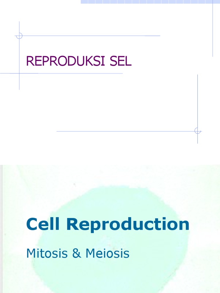 Reproduksi Sel | PDF | Meiosis | Mitosis