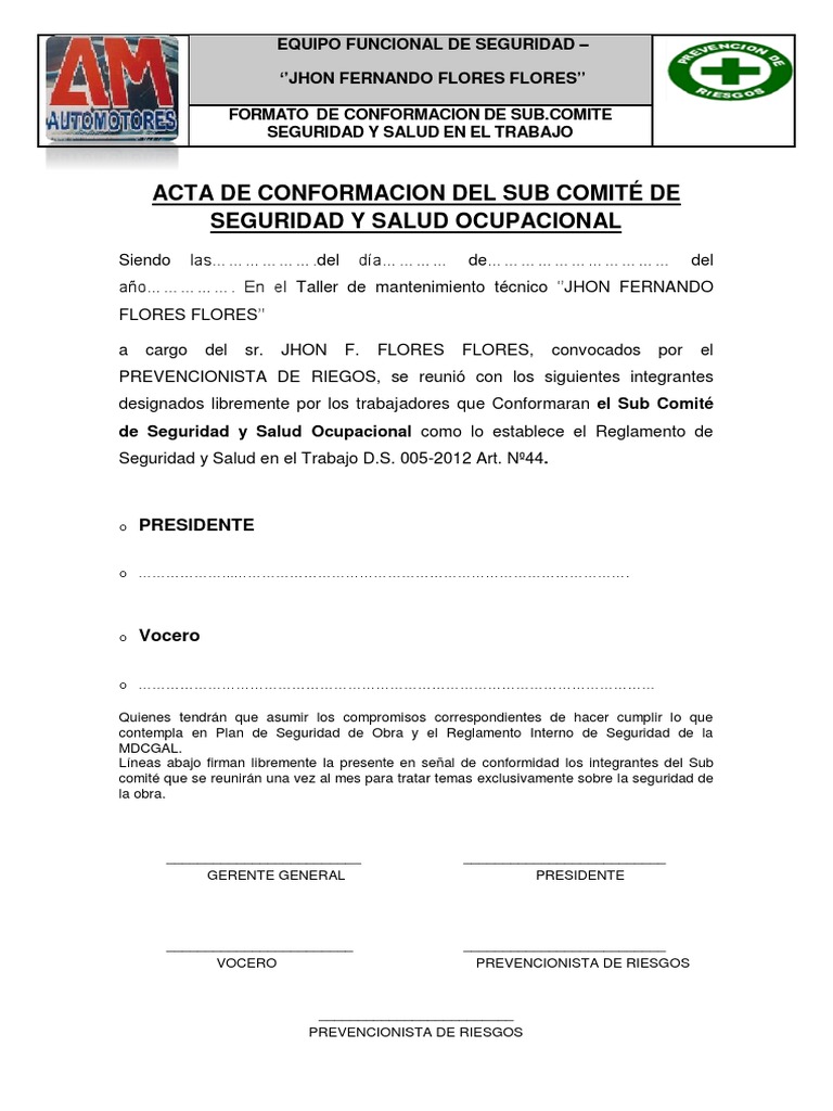 Formato Acta de Conformacion de SCSST | PDF