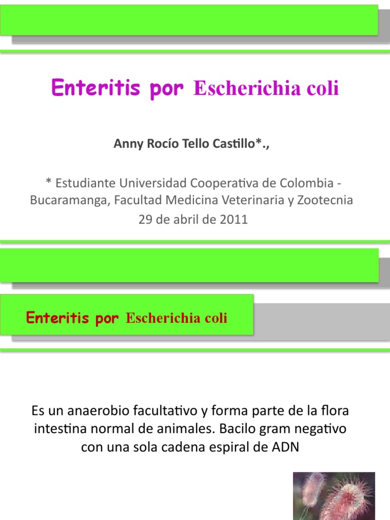 Enteritis Por Escherichia Coli | PDF | Escherichia coli | Diarrea