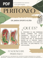 Omentos Mayor y Menor - Anatomía, Ubicación y Función - Kenhub | PDF ...