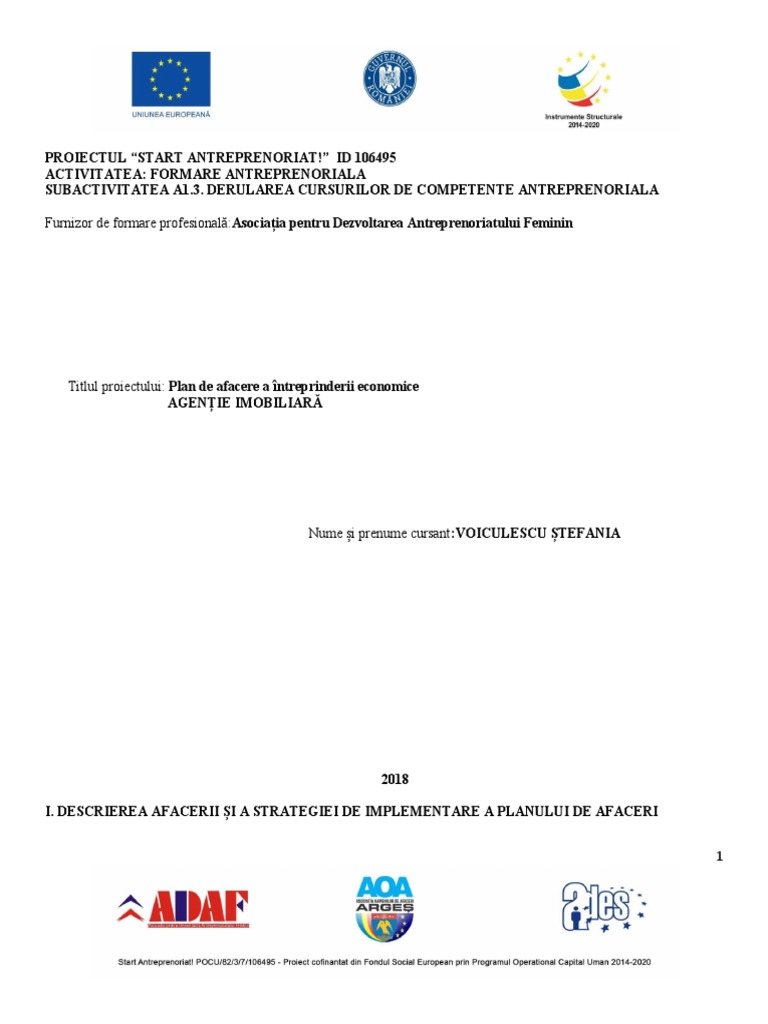 Plan de Afaceri Model de Completat | PDF