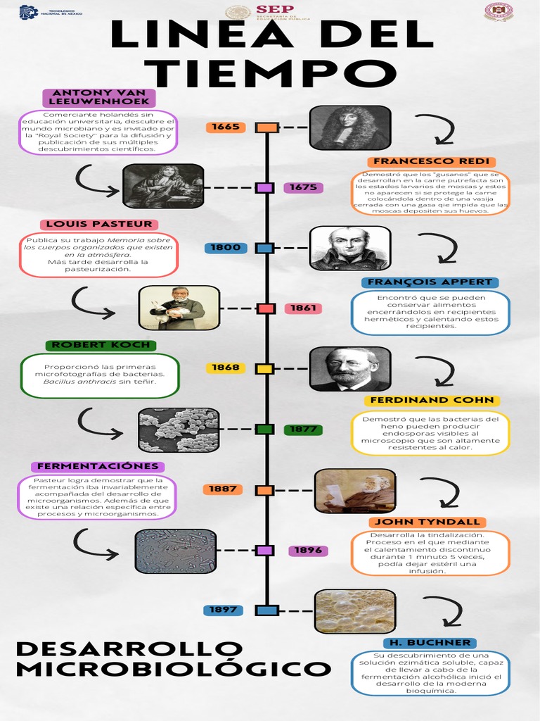 Microbiologia Linea Del Tiempo Images - vrogue.co Microbiologia Linea Del Tiempo Images - vrogue.co