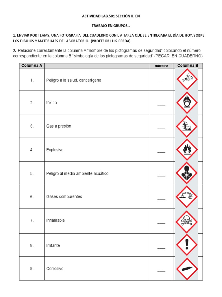 Actividad Laboratorio Pictogramas | PDF