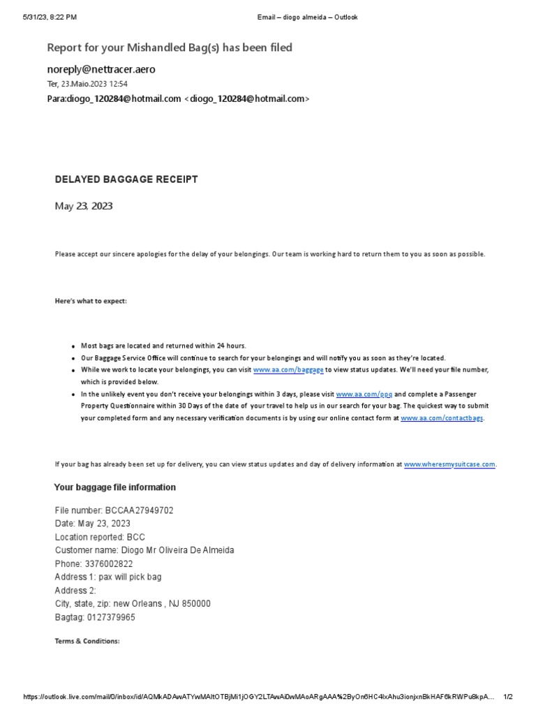 American Airline DelyedLuggageReport PDF