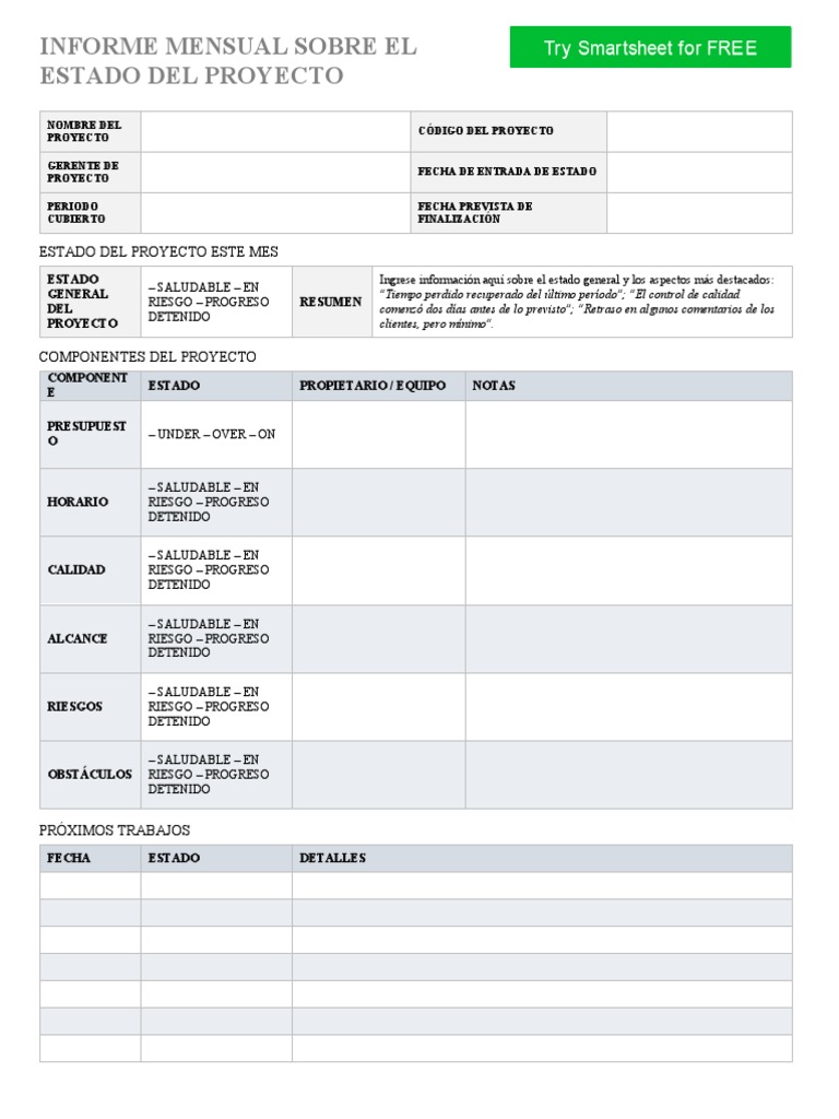Informe Mensual de Estado Del Proyecto | PDF | Informática