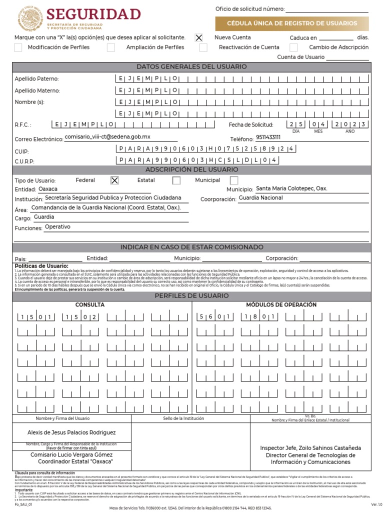 Ejemplo RND | PDF | Justicia | Crimen y violencia