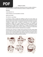 Vendaje Capelina: Procedimiento y Usos | PDF | Relaciones personales ...